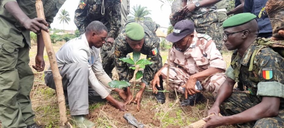 BEYLA : LES BERGES DU FLEUVE BEMBEYA REBOISÉS PAR L’ARMÉE - RADIO ...